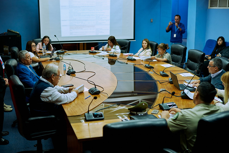 Consejo Comunal de Seguridad Pública trabaja en la actualización del ...