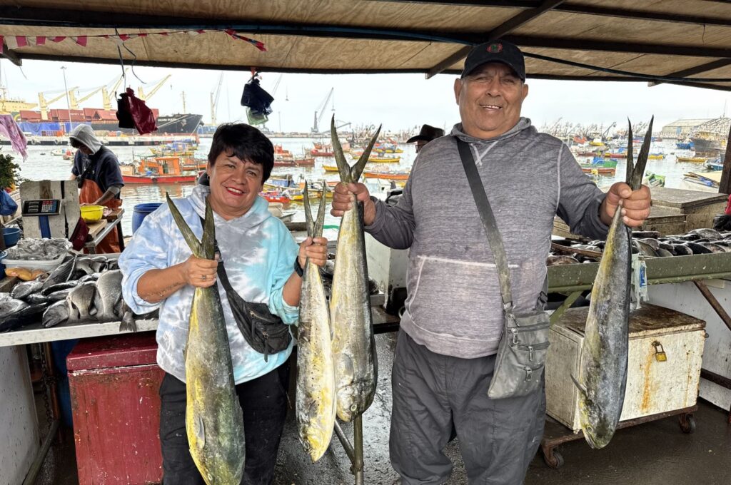 Terminal Pesquero de Arica ya tiene disponible la Palometa y esperan ...